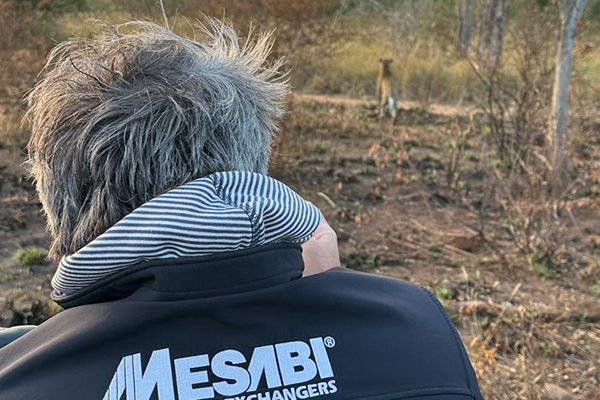 Mesabi® Radiators Power Mining Operations in Africa - Mesabi